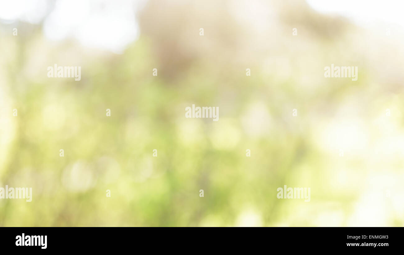 Real natural focus color hi-res stock photography and images - Alamy