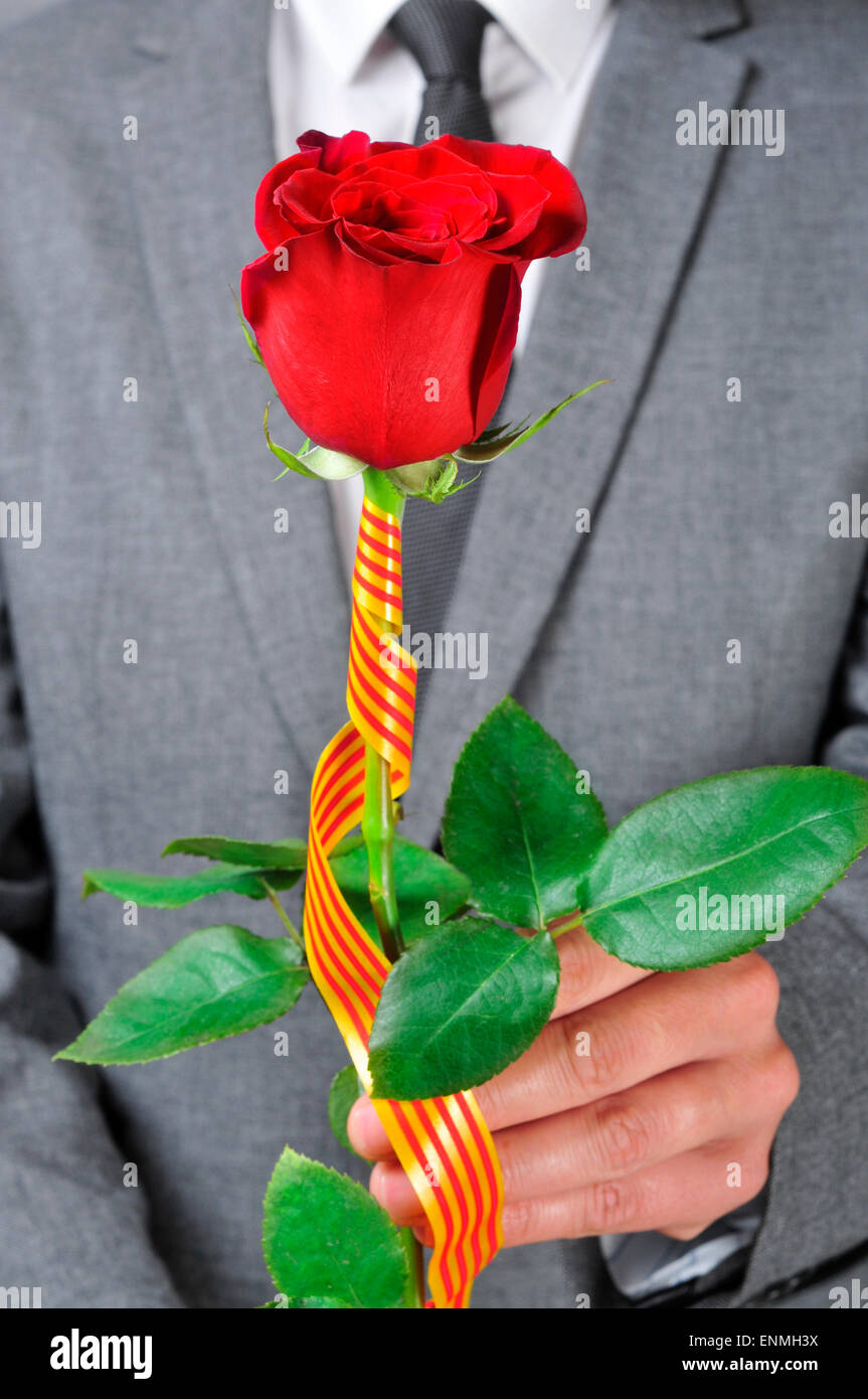 White rose flag hi-res stock photography and images - Alamy