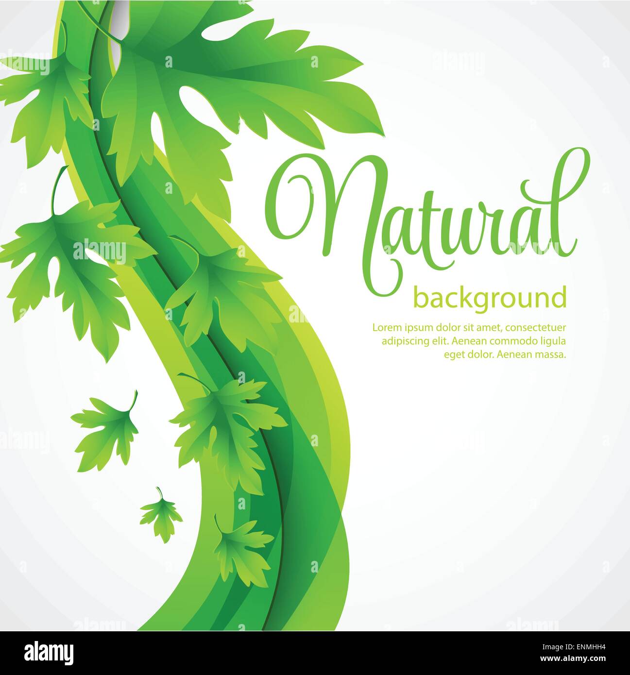 Natural vector background with green spring leaves EPS10 Stock Vector ...