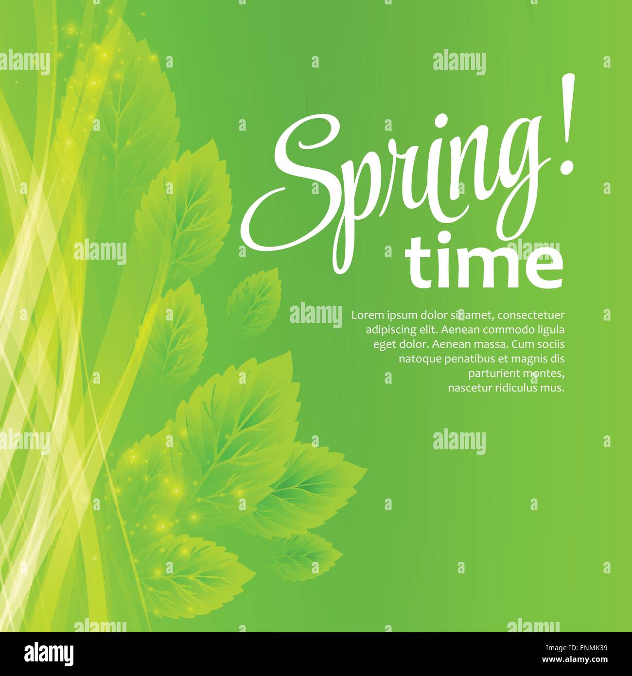 Spring fresh green leaves. Vector illustration EPS10 Stock Vector Image ...