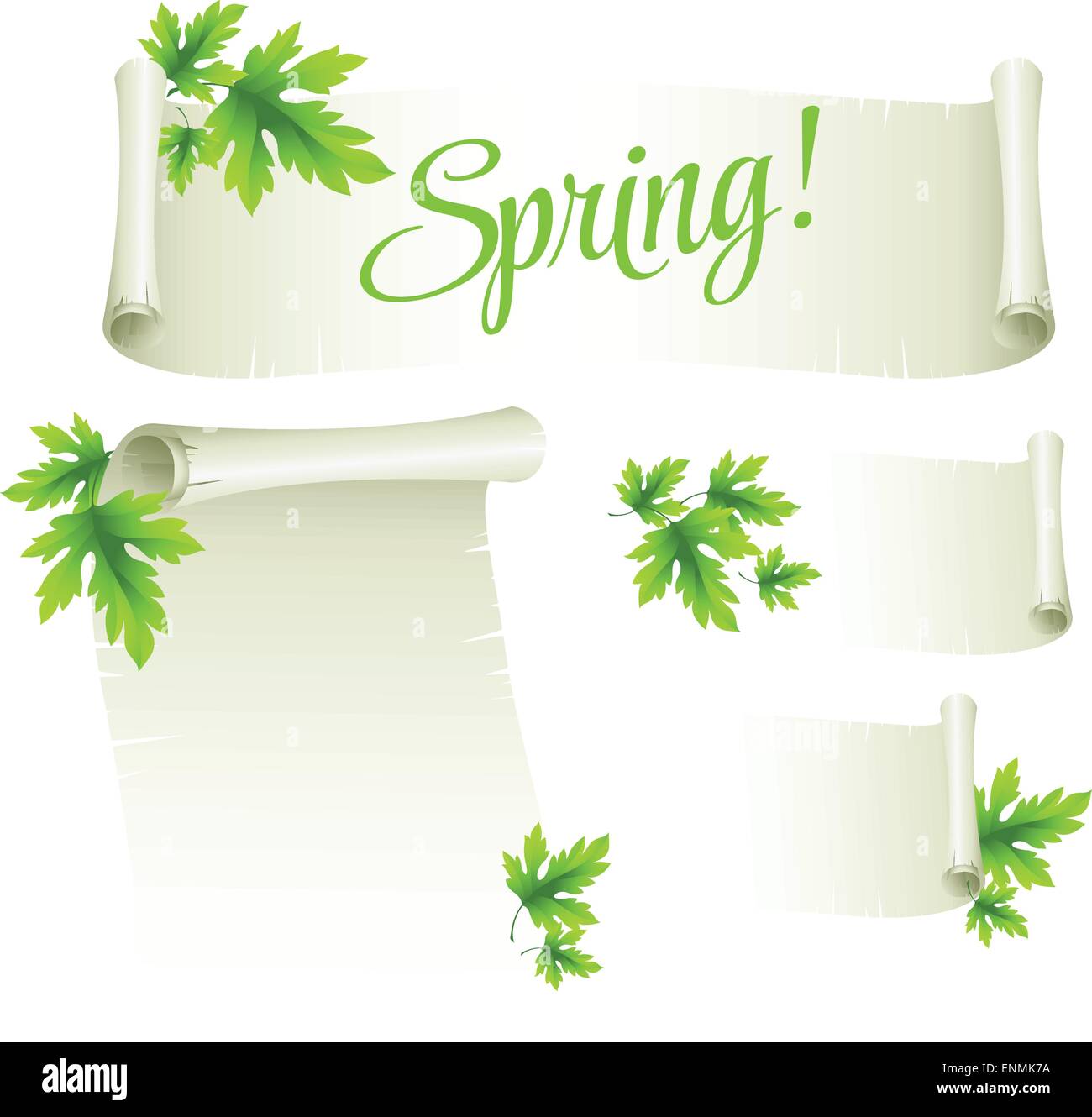 Manuscript template with green leaves. Vector illustration EPS 10 Stock ...