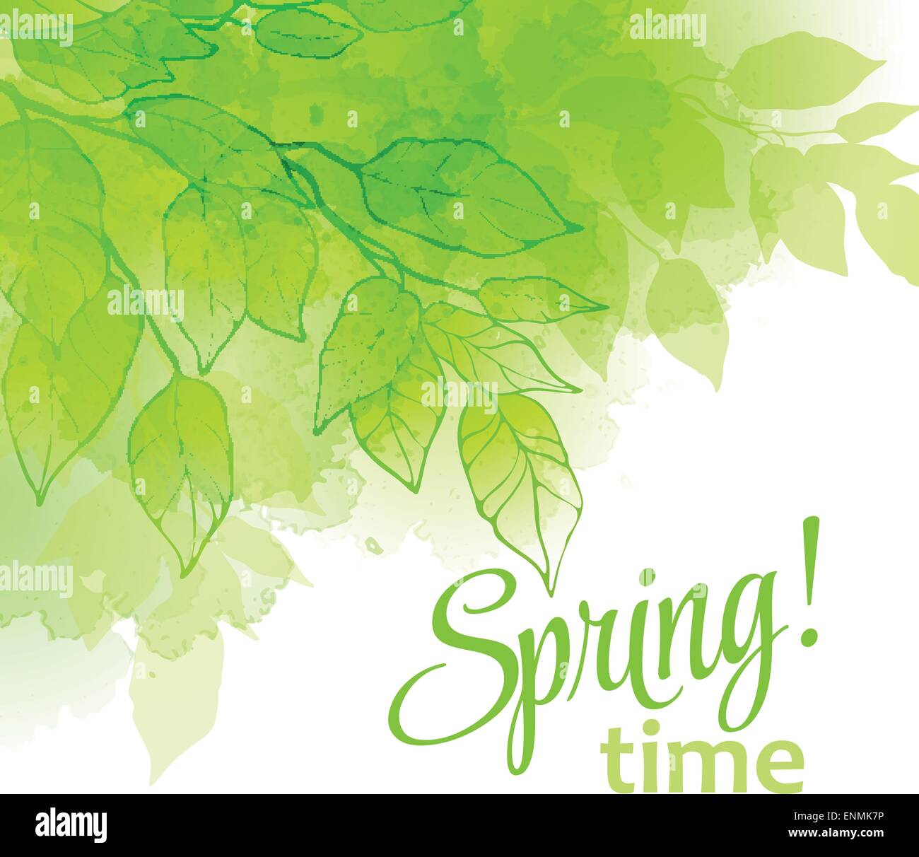 Watercolor spring leaves. Vector illustration EPS 10 Stock Vector Image ...