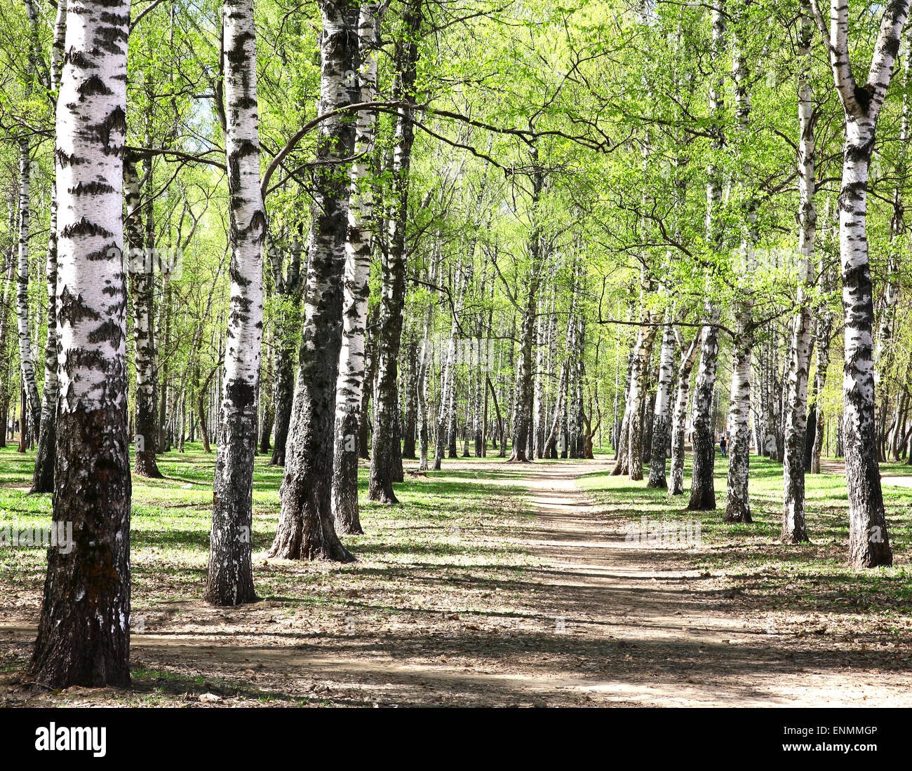 The first days of spring hi-res stock photography and images - Alamy