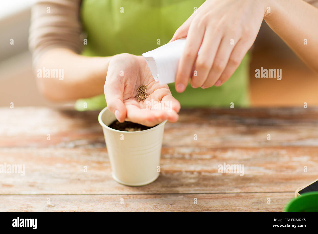 close up of woman sowing seeds to soil in pot Stock Photo - Alamy