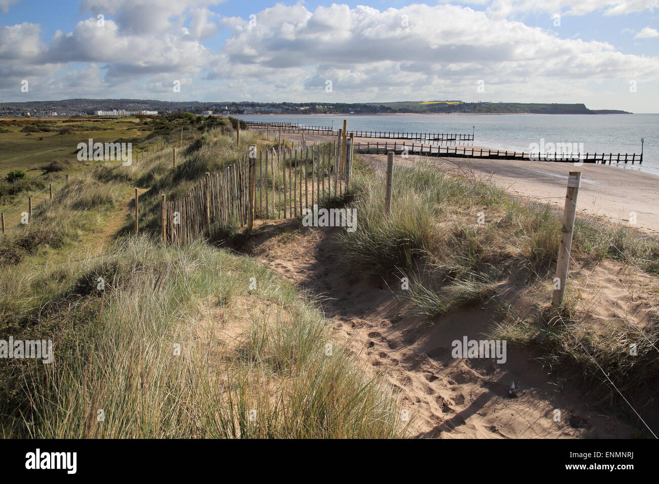 sand dunes at dawlish warren on the south devon coast Stock Photo - Alamy