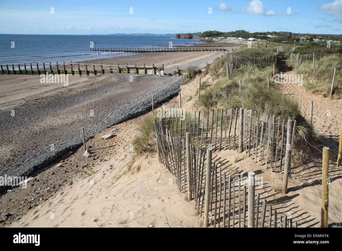 sand dunes at dawlish warren on the south devon coast Stock Photo - Alamy