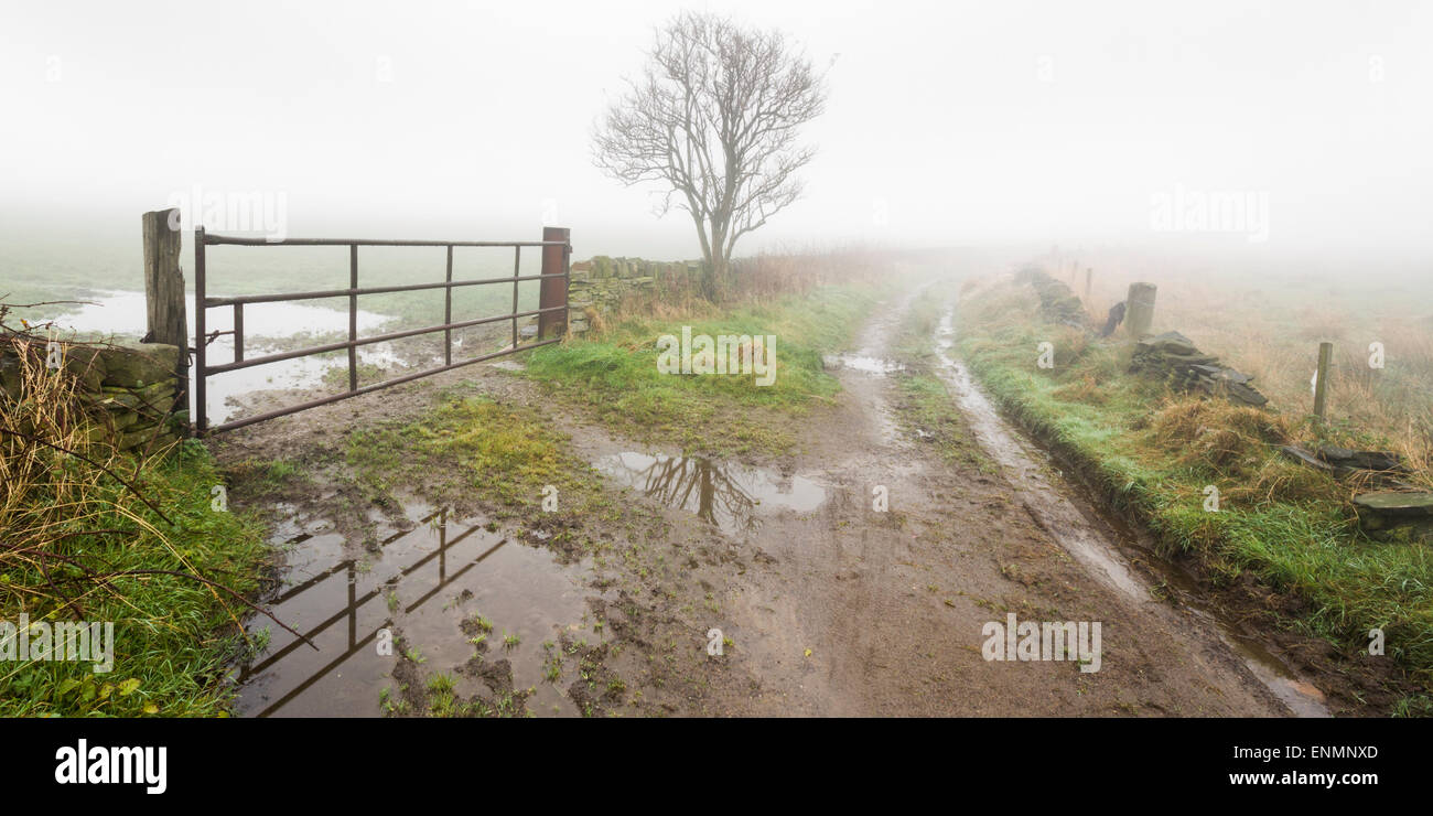 Thick fog country road hi-res stock photography and images - Alamy