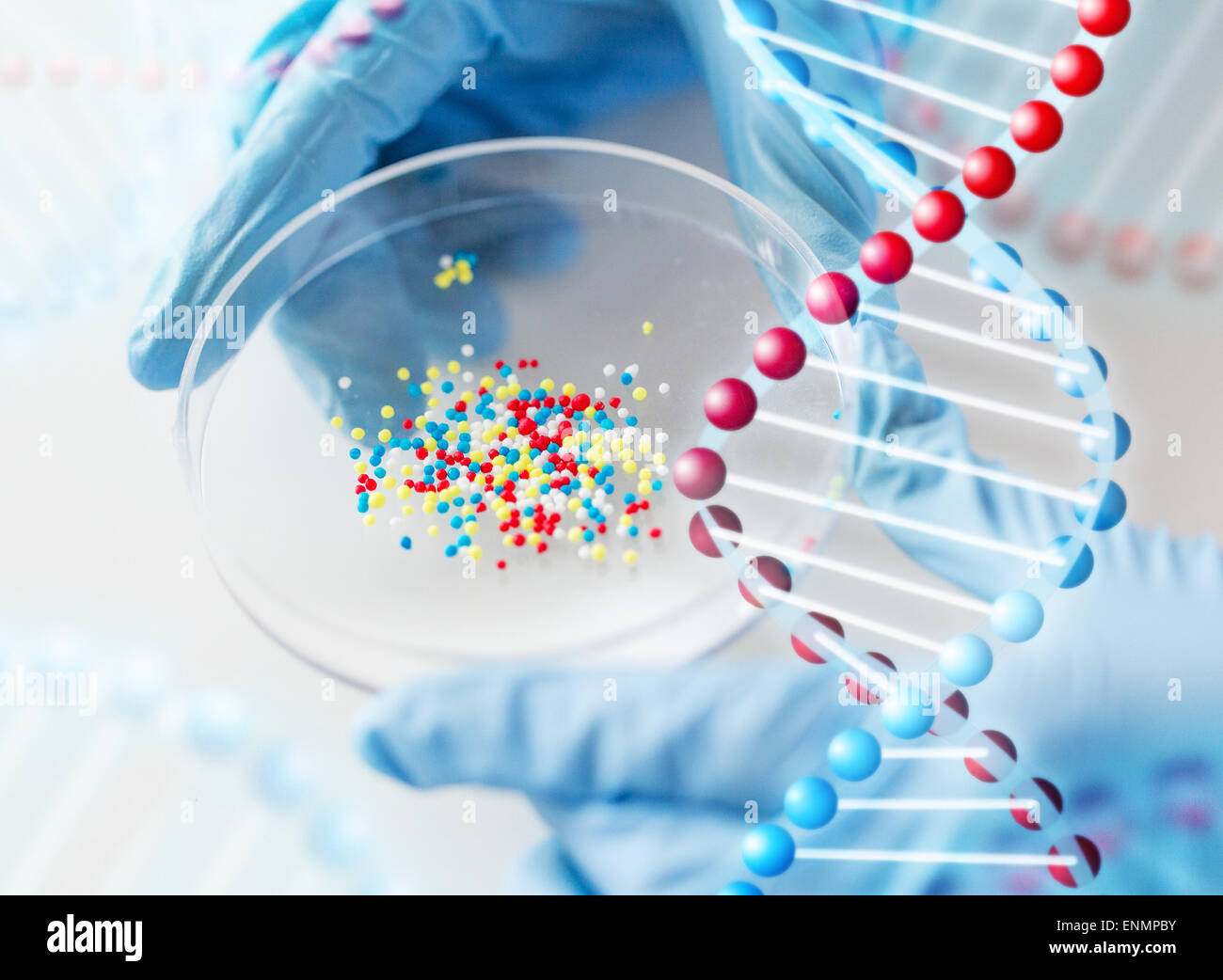 close up of scientist hands holding chemical cure Stock Photo - Alamy