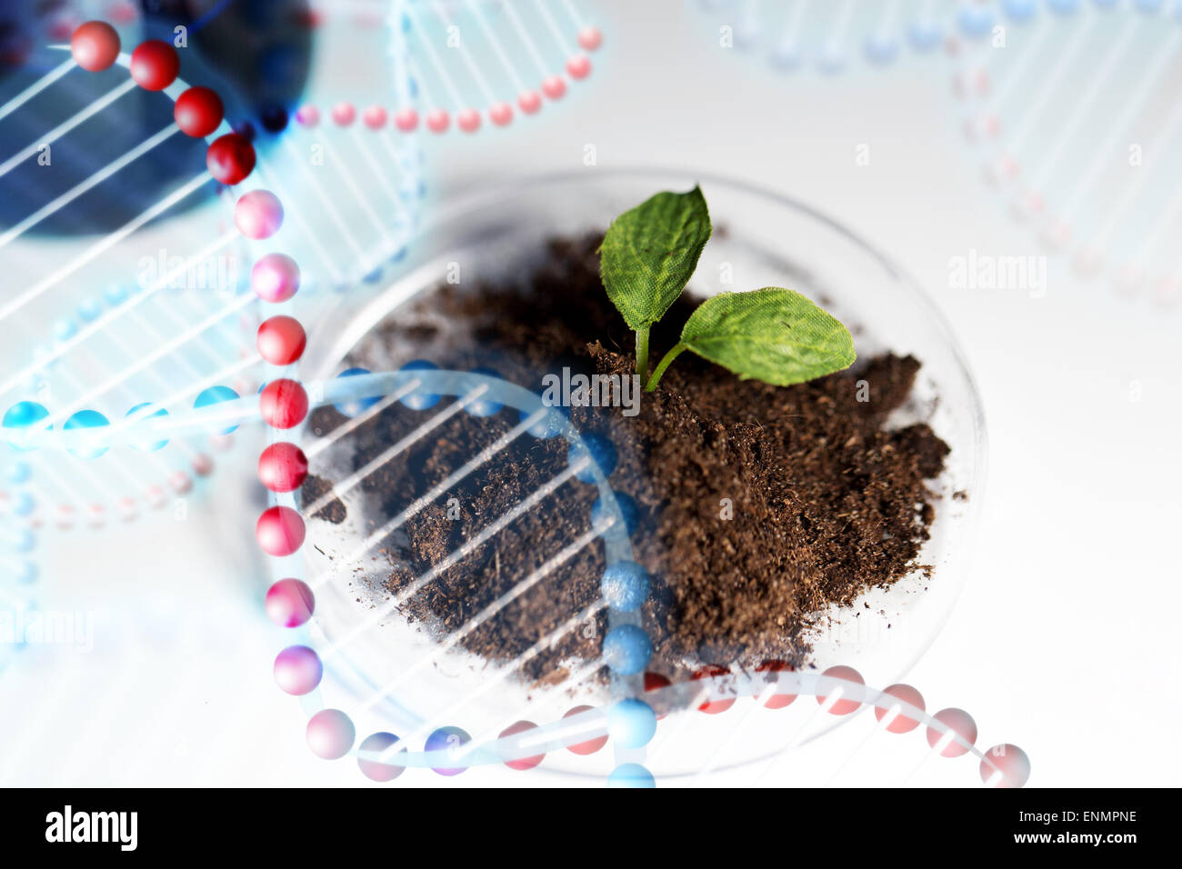 Engineering close up science laboratory hi-res stock photography and ...