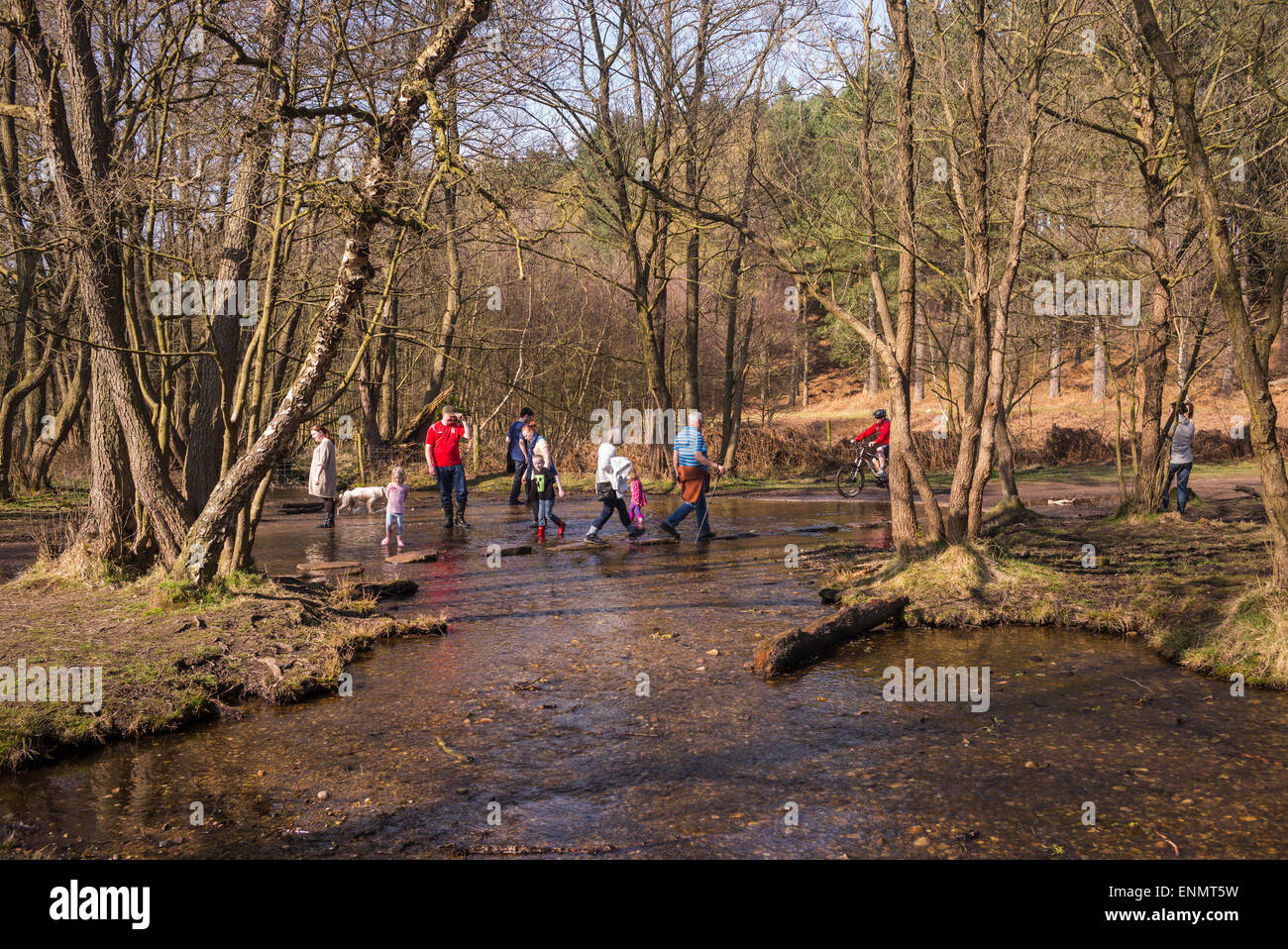 Forestry commission walks on cannock chase in sherbrook valley hi-res ...