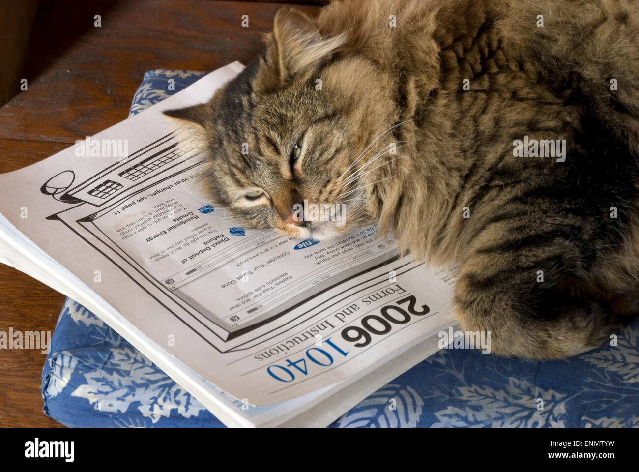 1040 income tax form cat hi-res stock photography and images - Alamy