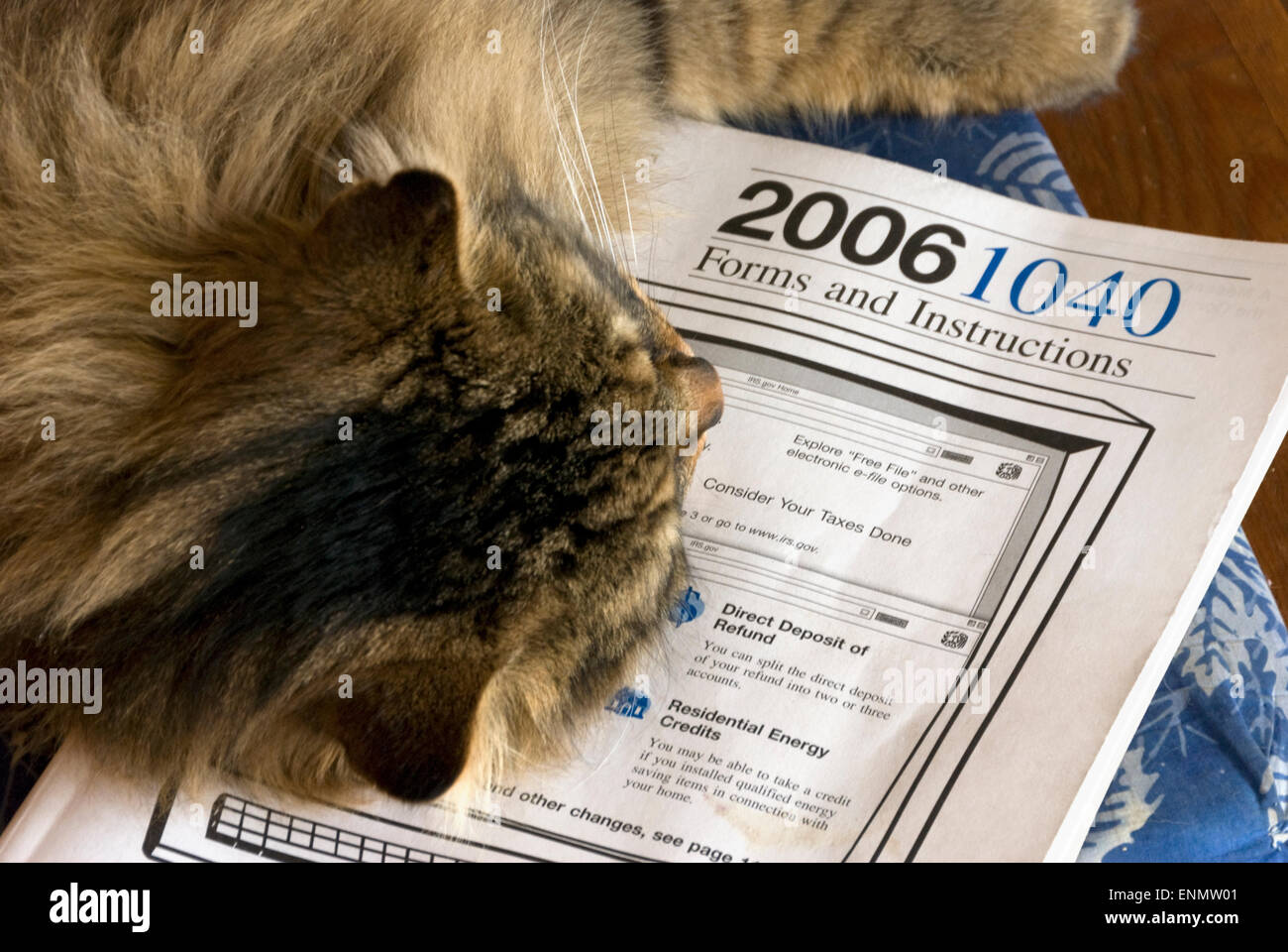 1040 income tax form cat hi-res stock photography and images - Alamy