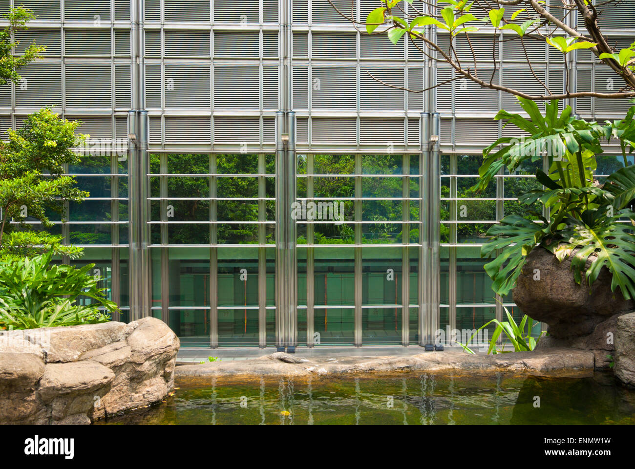 Generic green office concept. Small urban garden and pool reflected in ...