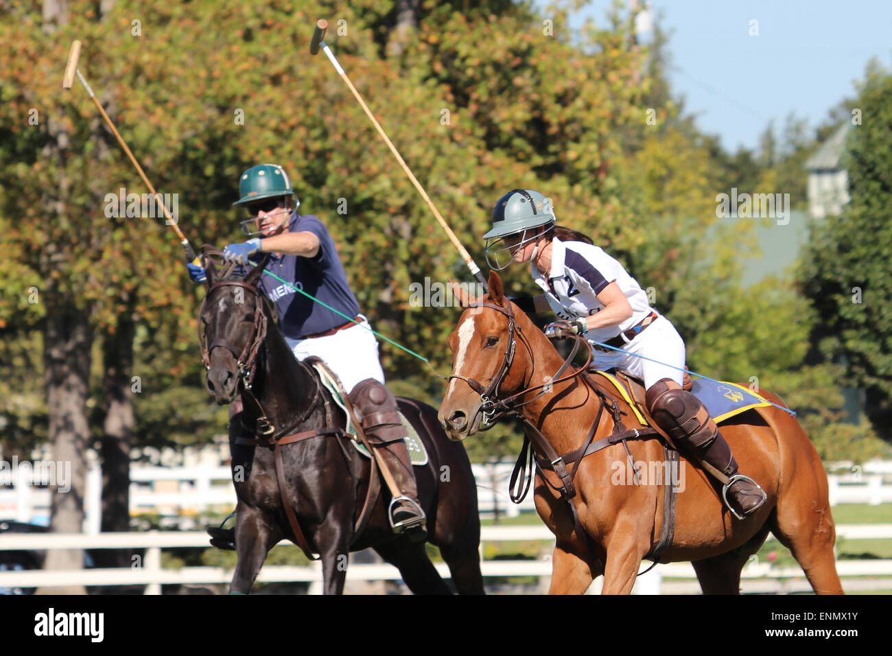 Polo Players High Resolution Stock Photography and Images - Alamy