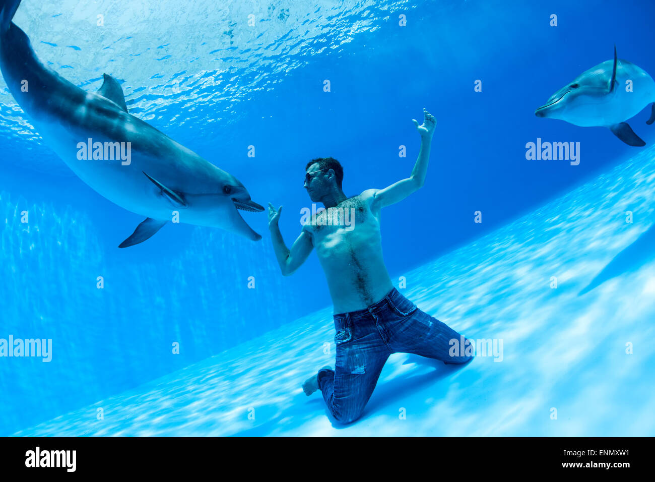People Swimming With Dolphins Underwater