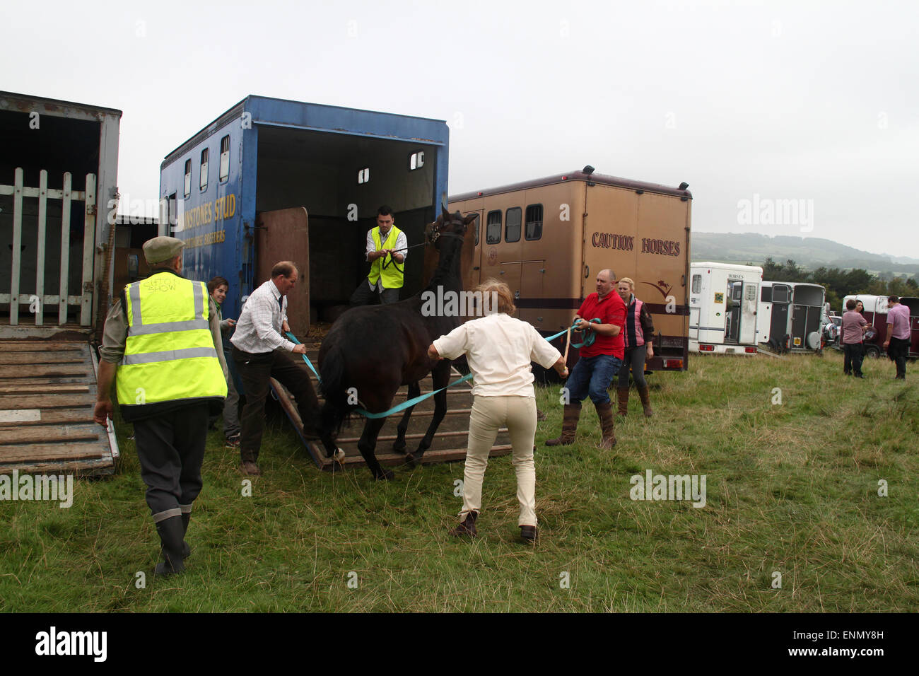 People trying to load nervous horse into horse box at Egton Show, North ...