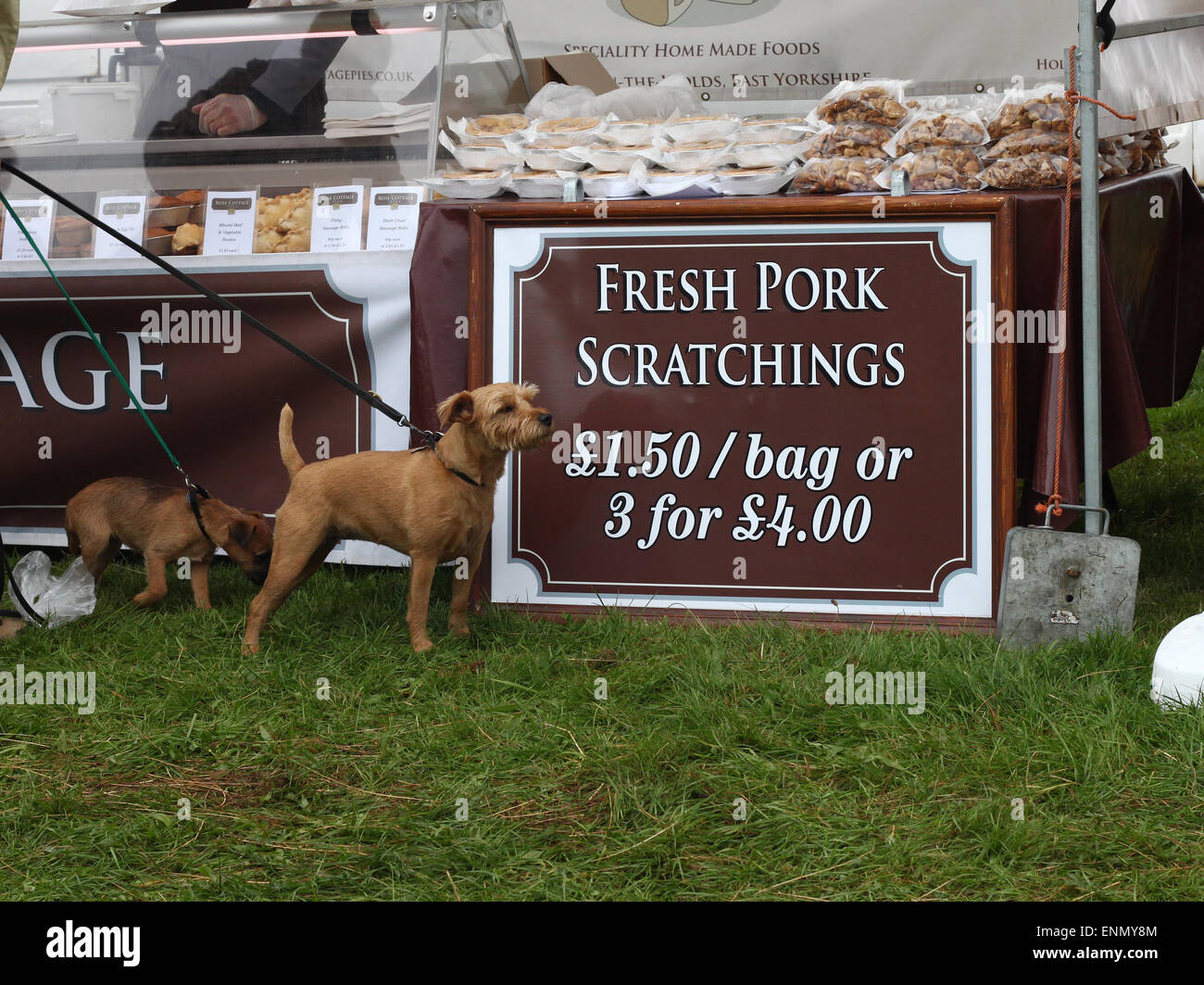 Dogs next to Pork Pie stand at Egton Agricultural Show in North ... Dogs next to Pork Pie stand at Egton Agricultural Show in North ...