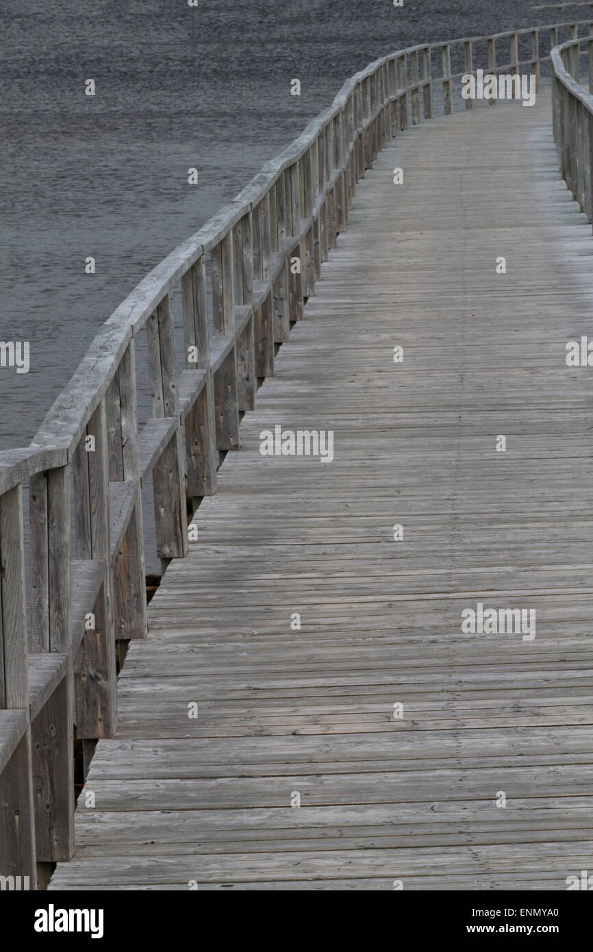 Winding oceanside boardwalk traverses into distance, symbolic of ...