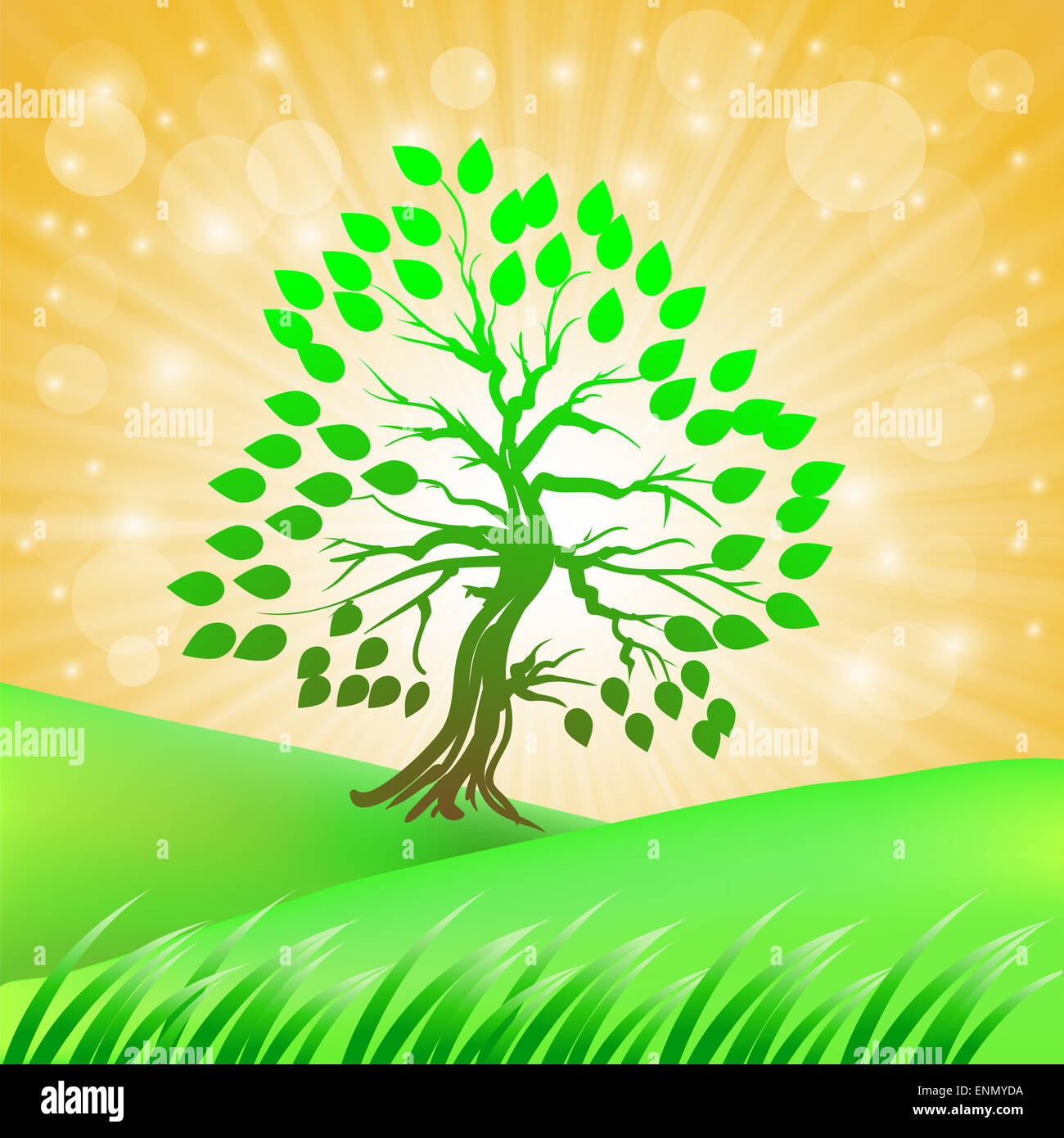 Summer Green Tree on Sun Rays Background Stock Photo - Alamy