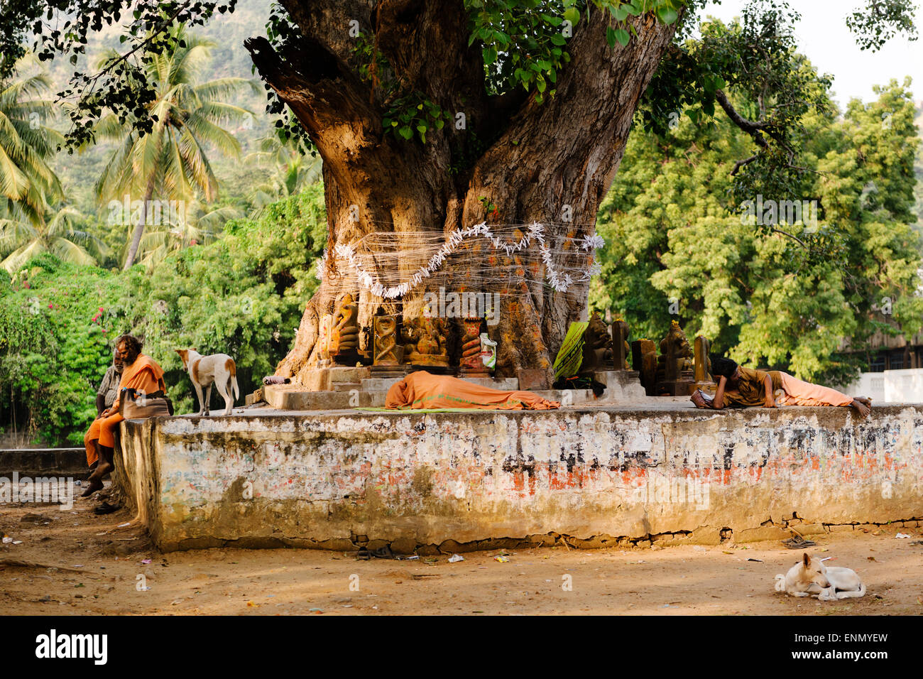 Sadhus resting under a tree after a hard day's work begging from people ...