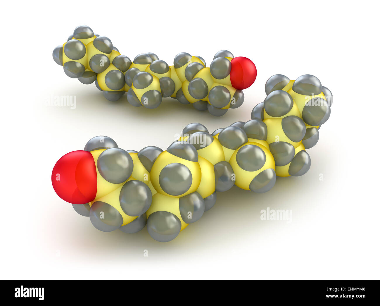 Cholesterol model, isolated on white Stock Photo - Alamy