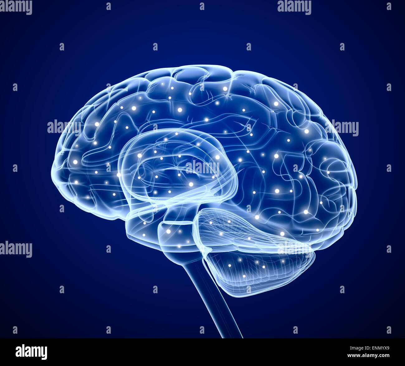 Brain impulses. Thinking process Stock Photo - Alamy
