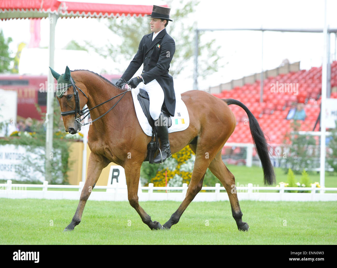 Sam watson horse hi-res stock photography and images - Alamy