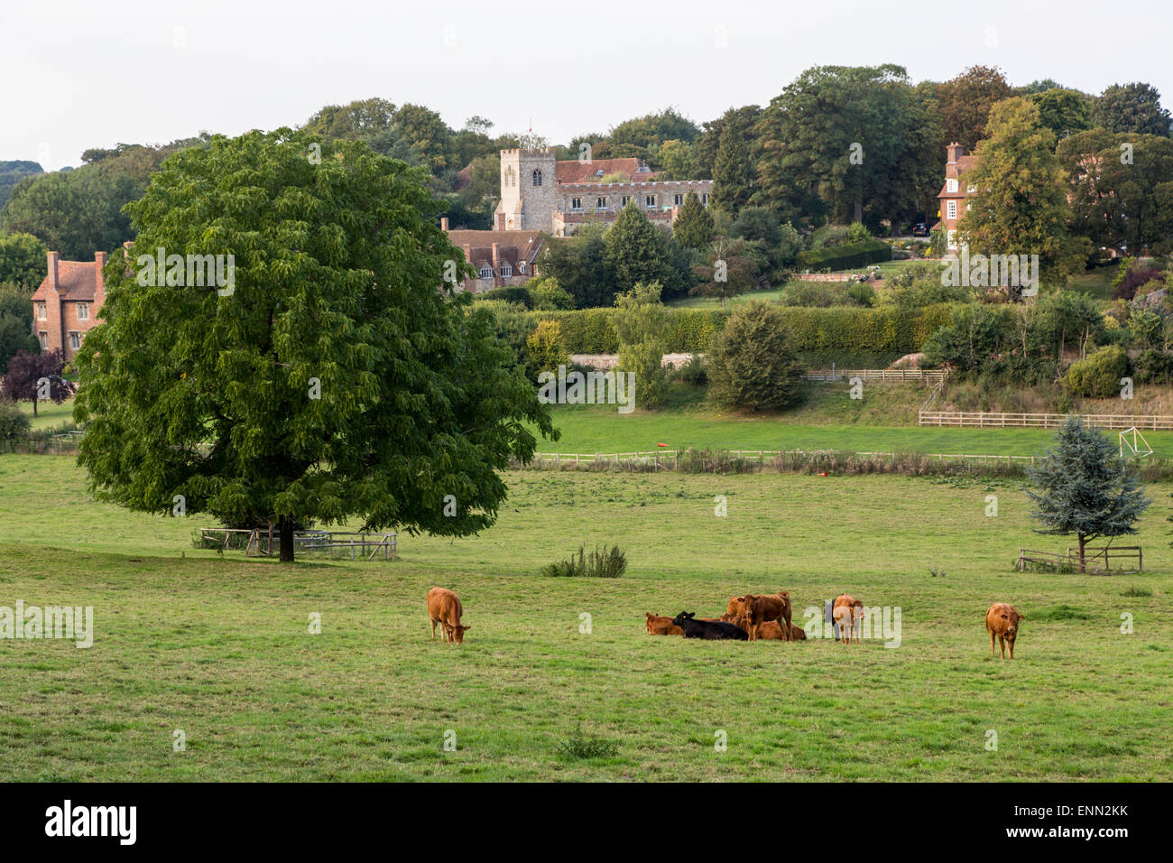 Ewelme High Resolution Stock Photography and Images - Alamy