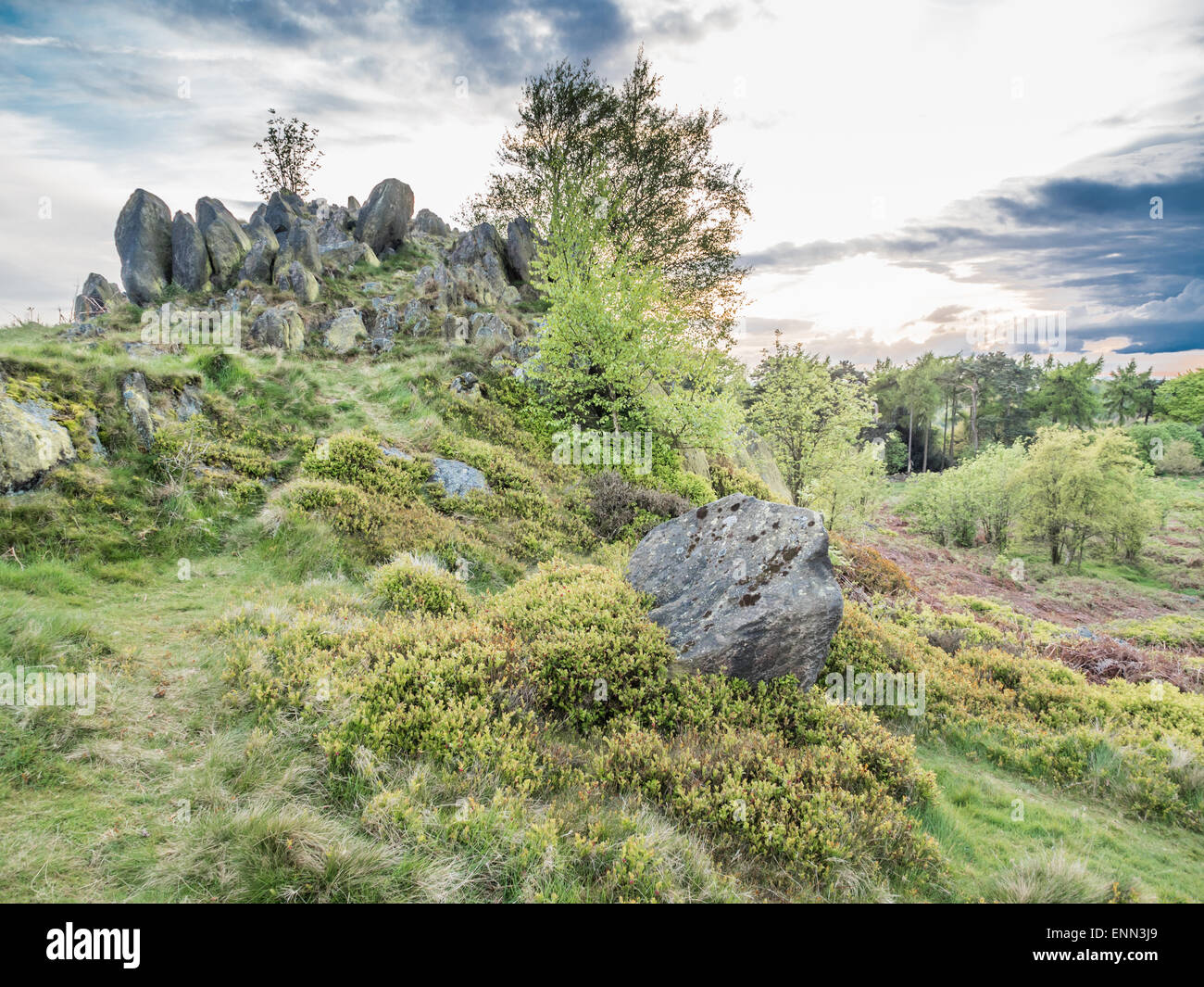 Beautiful British heathland & Jurassic rocks in the evening Stock Photo ...