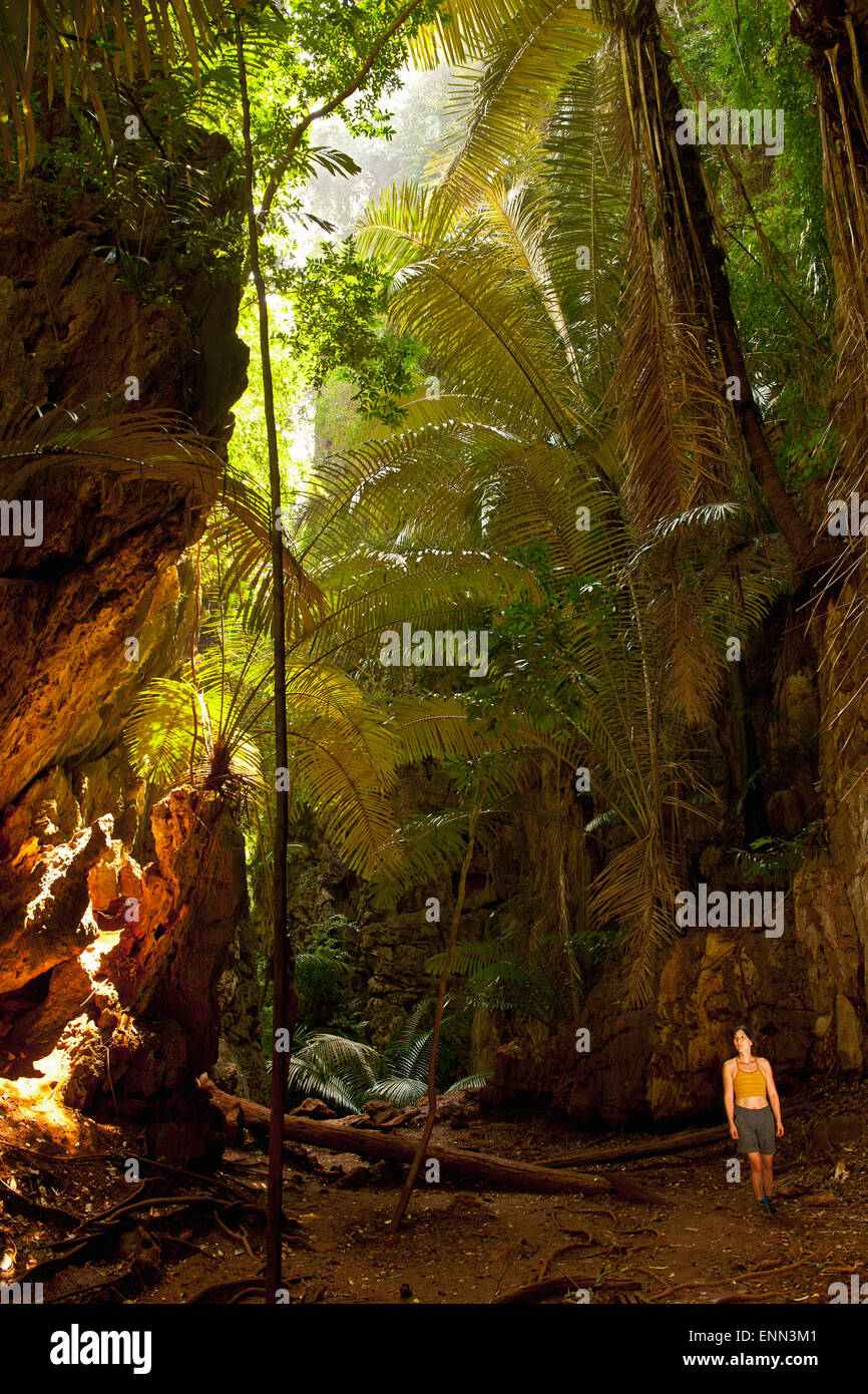 Woman exploring the djungle at Railay in Thailand Stock Photo - Alamy