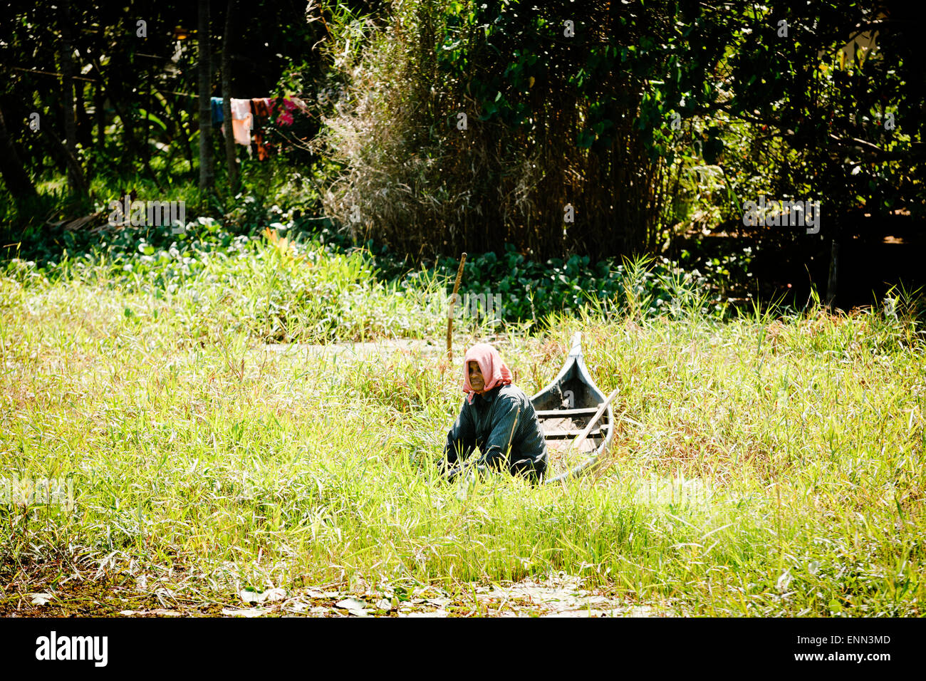 Local villager sitting in a traditional canoe in the reeds in the ...