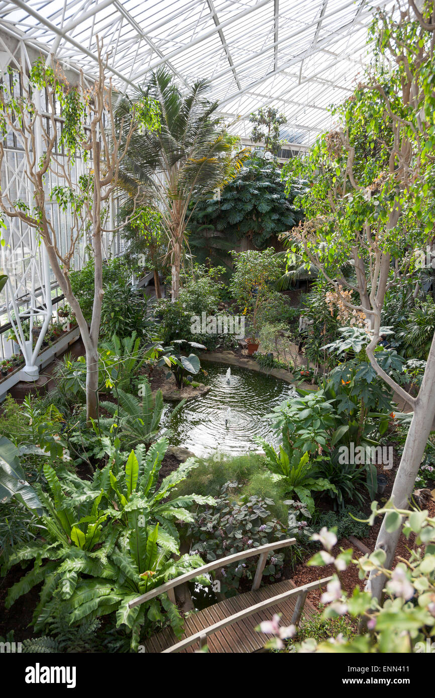 Barbican conservatory inside the Barbican Centre, London, England Stock ...
