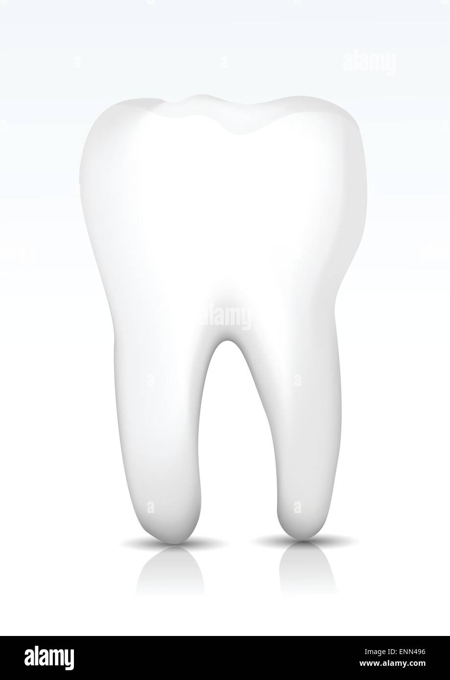 Vector tooth hi-res stock photography and images - Alamy
