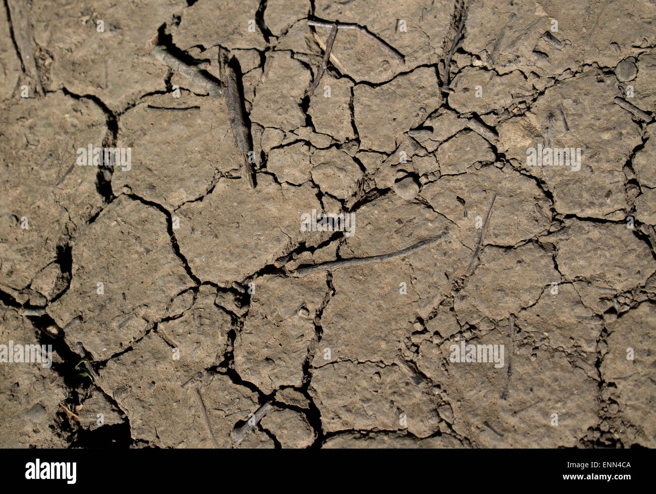Drought parched soil cracks hi-res stock photography and images - Alamy