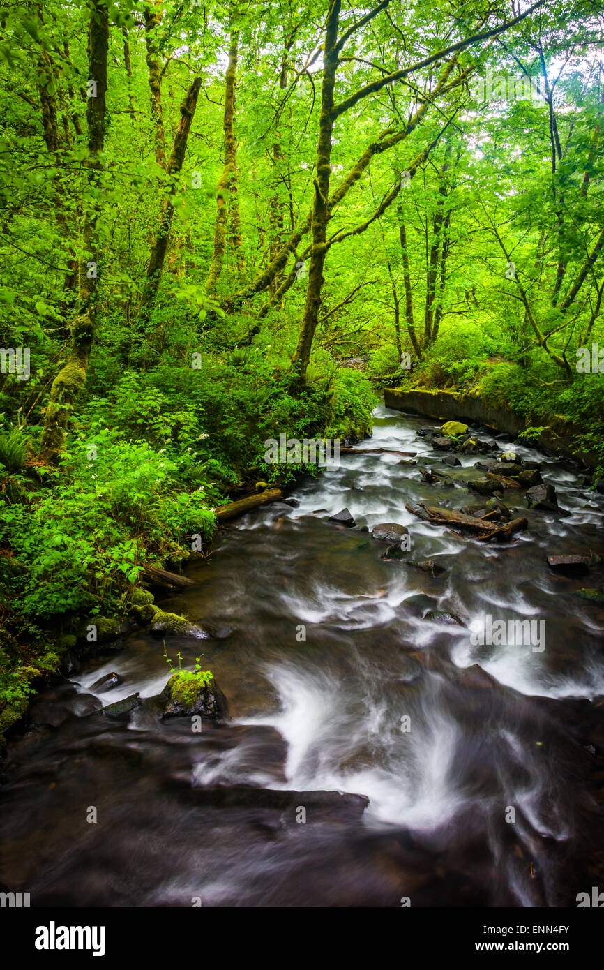 Cascades of the columbia hi-res stock photography and images - Alamy