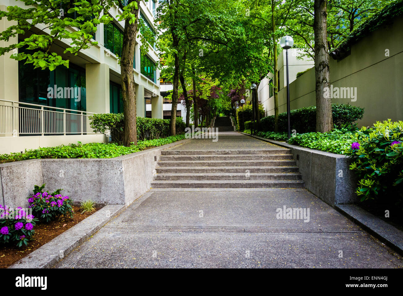 Gardens and trees along a walkway in a park in downtown Portland ...
