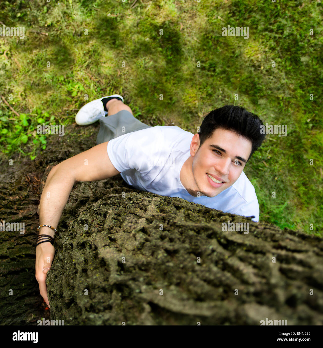 Smiling handsome young man hugging a tree, looking up, seen from up ...