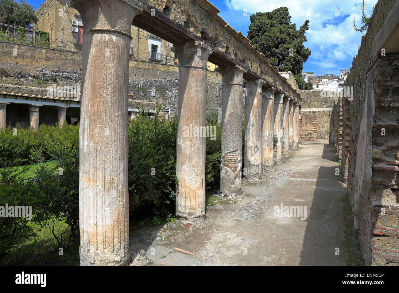 Argus house hi-res stock photography and images - Alamy