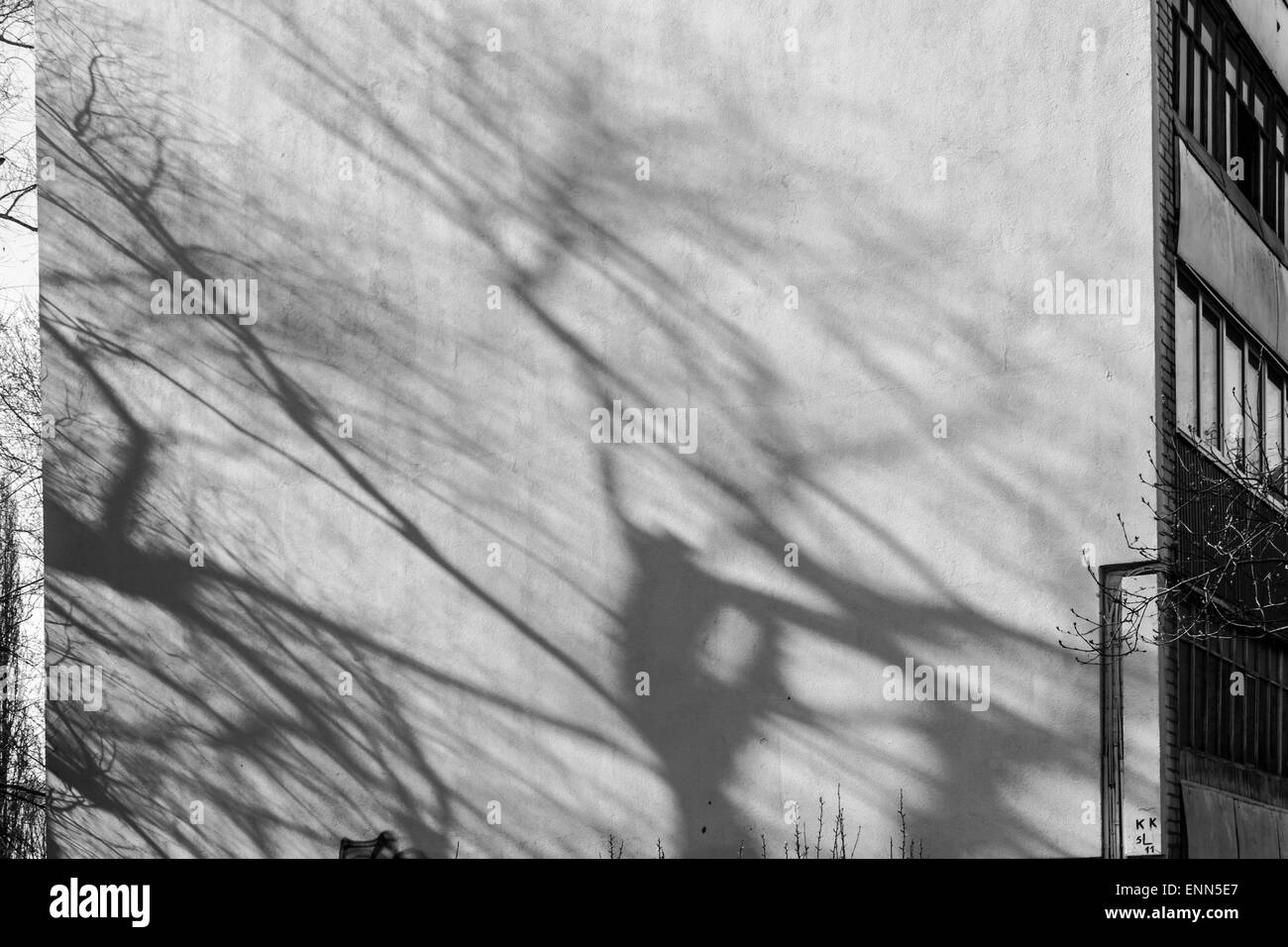 Morning sunlight creates a tree shadow on the side of a building Stock ...