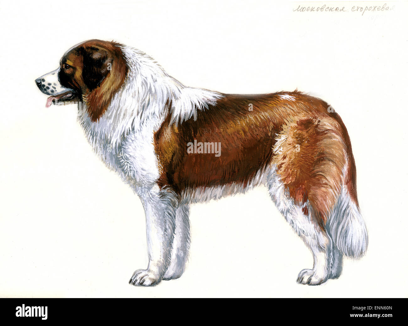 Dog encyclopedia the ussr hi-res stock photography and images - Alamy