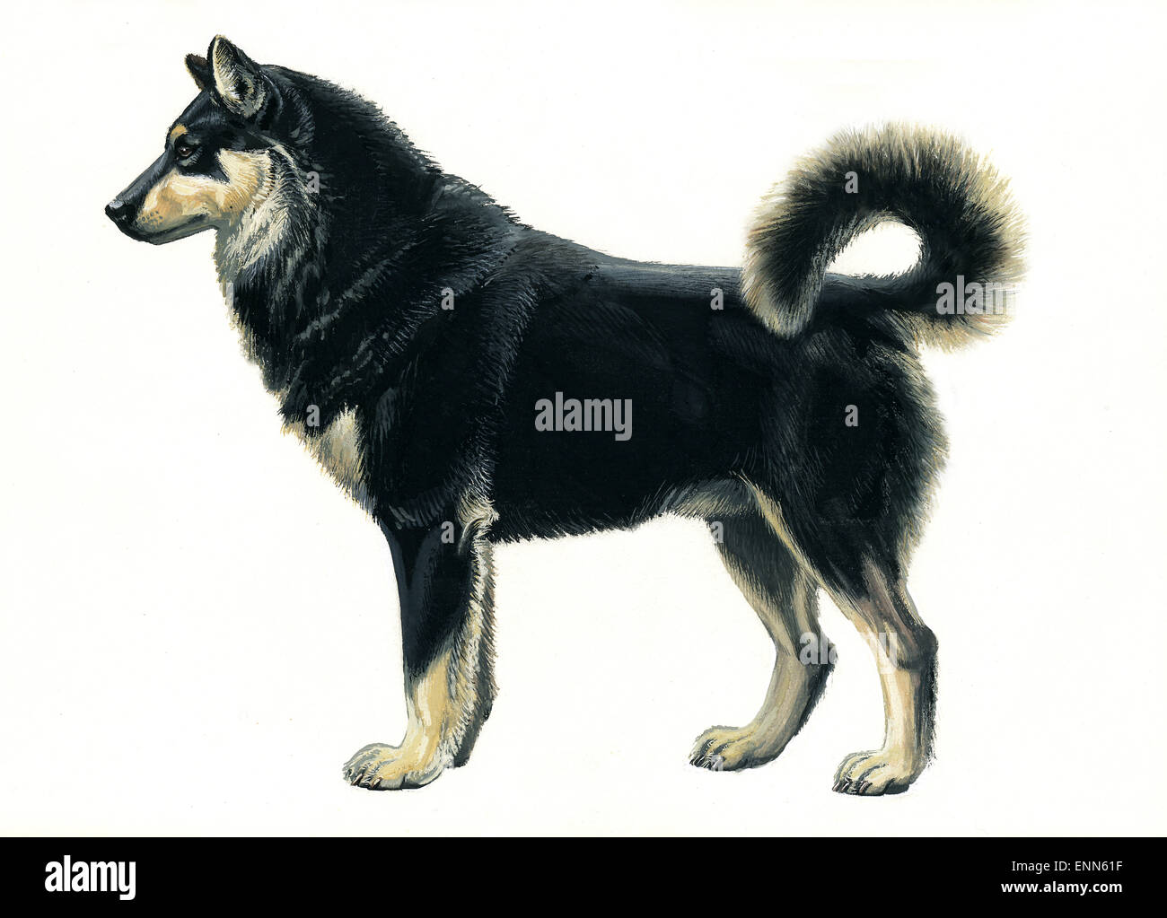 Far east russia Cut Out Stock Images & Pictures - Alamy