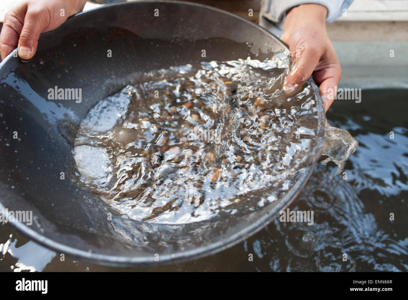 Gold panning hi-res stock photography and images - Alamy