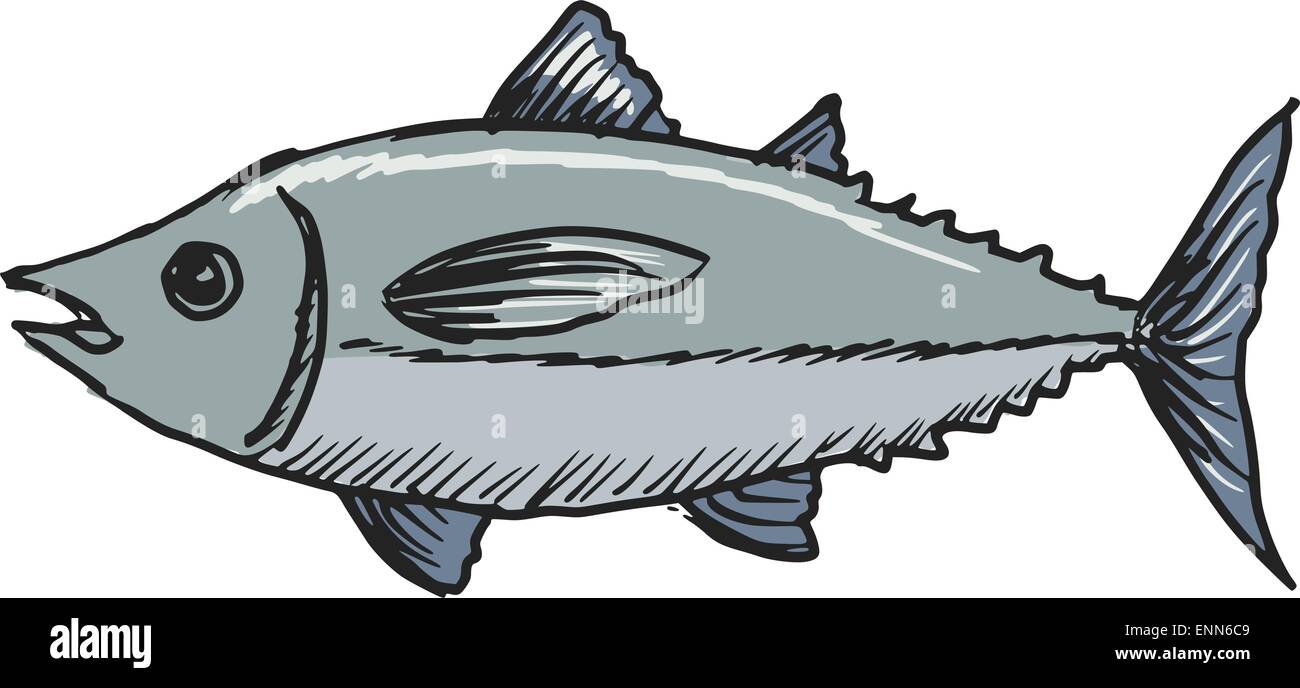 Tuna fish cartoon hi-res stock photography and images - Alamy