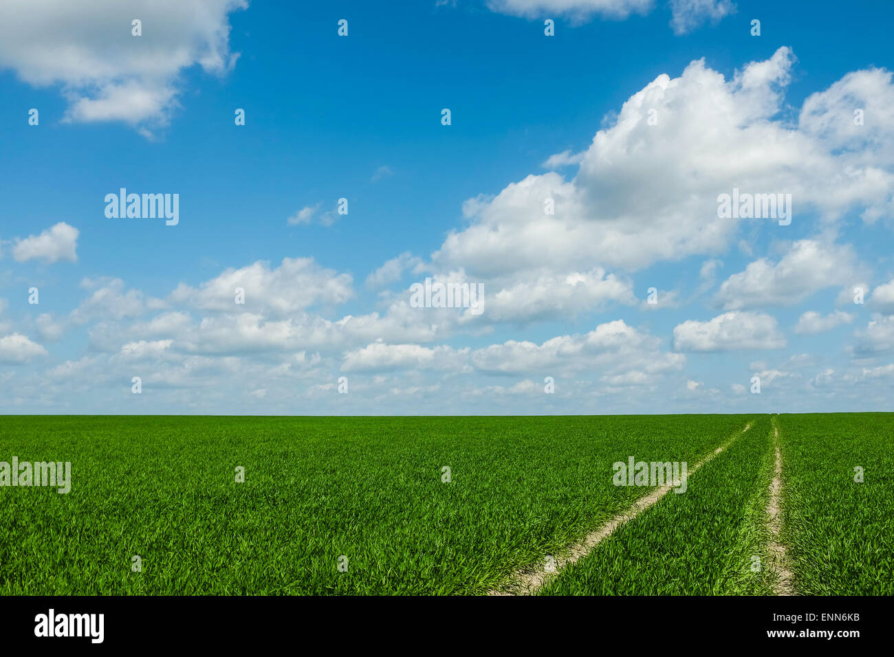Photo of a grass field with an amazing road going into the horizon ...