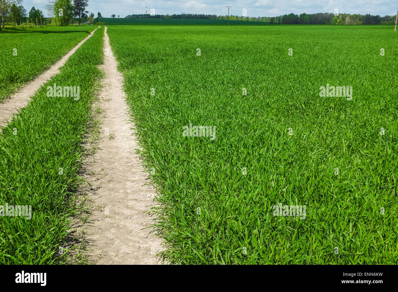 Photo of a grass field with an amazing road going into the horizon ...