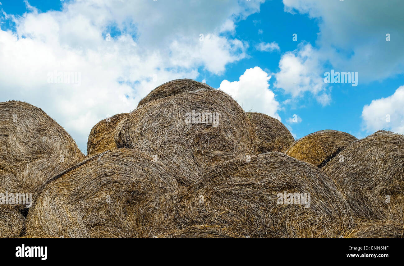 hay stack photo close up Stock Photo - Alamy
