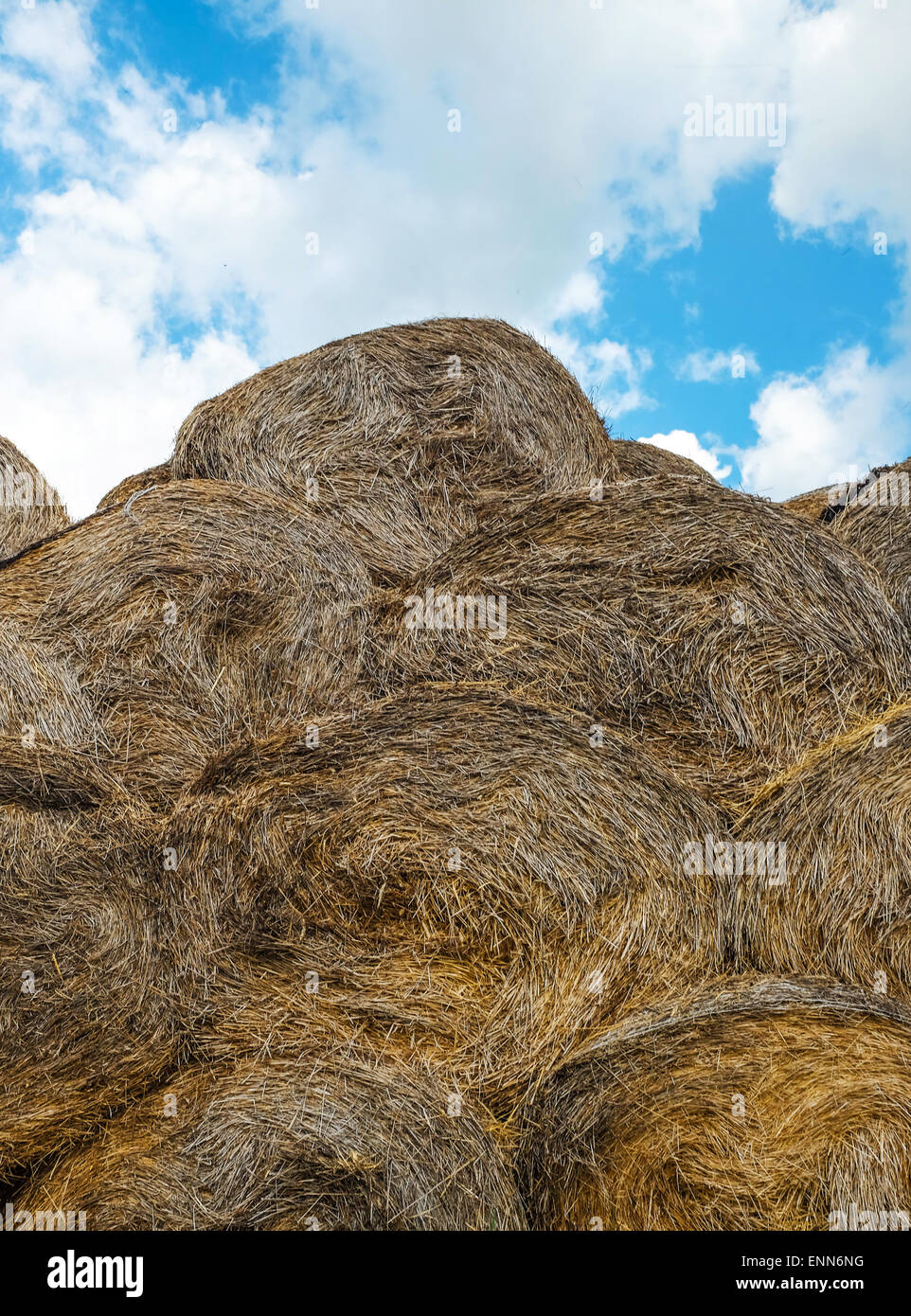 hay stack photo close up Stock Photo - Alamy