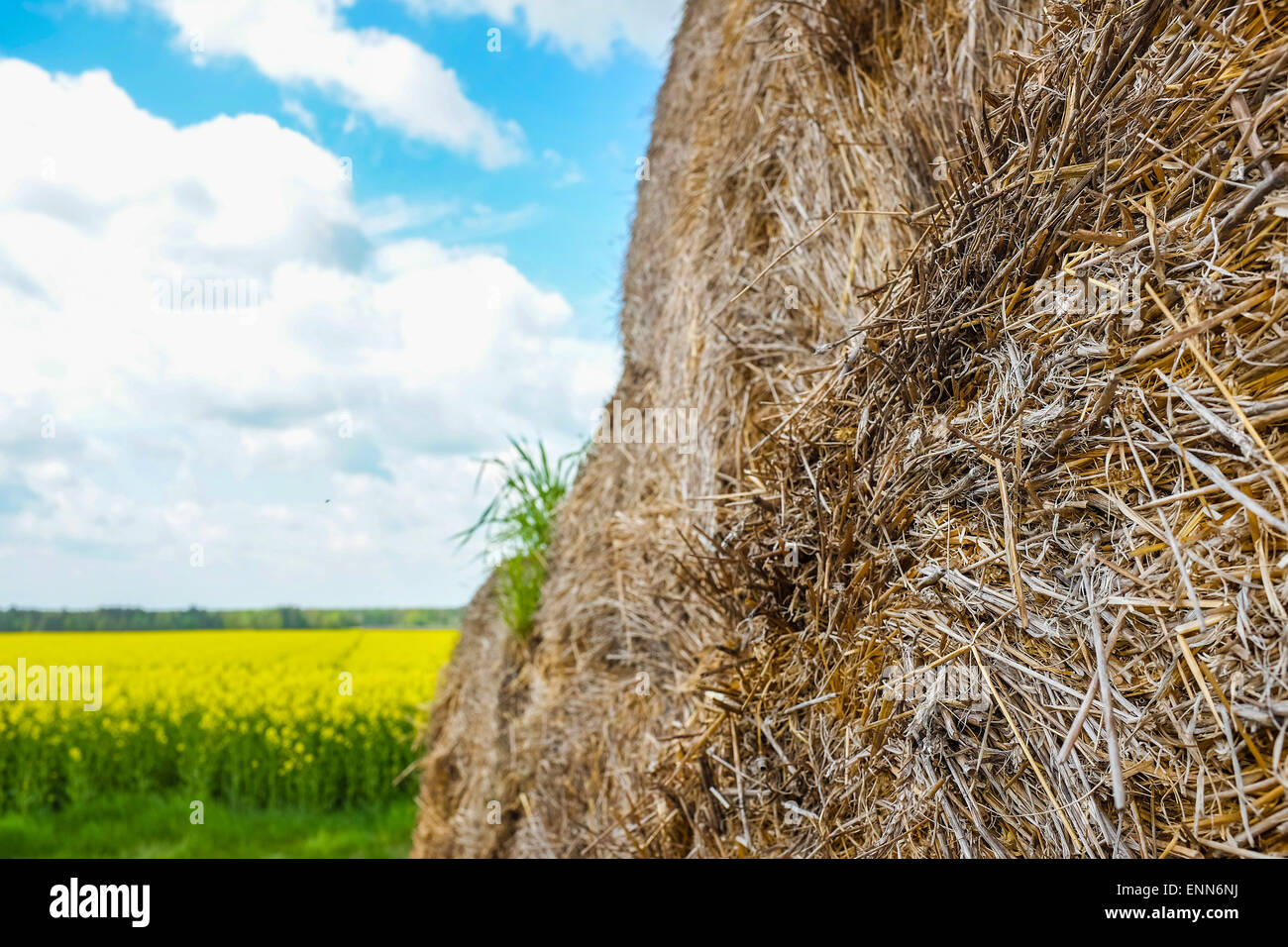 hay stack photo with sky background Stock Photo - Alamy