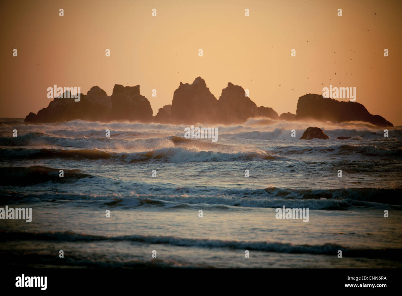Evening light illuminates rocks and waves in Bandon Bay, Oregon Stock ...