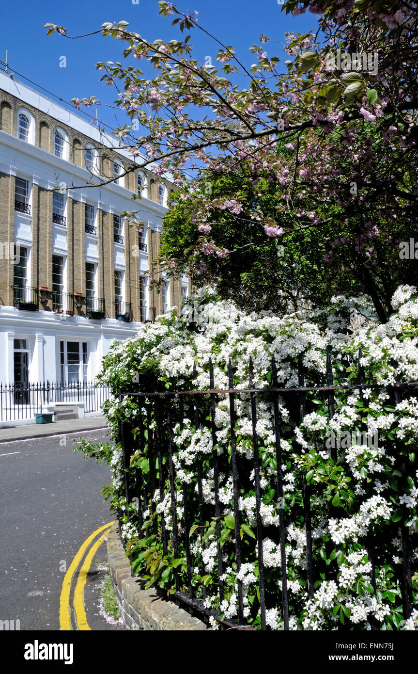 Milner Square showing houses and garden square, London Borough of ...